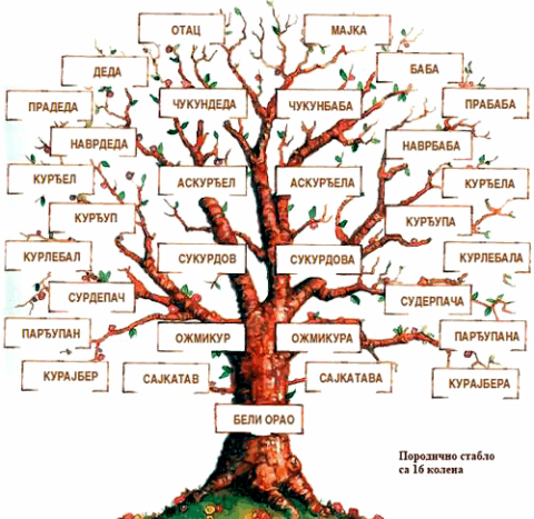 Ко смо и одакле смо, ко су наши преци? - Информативни портал Чечаве
